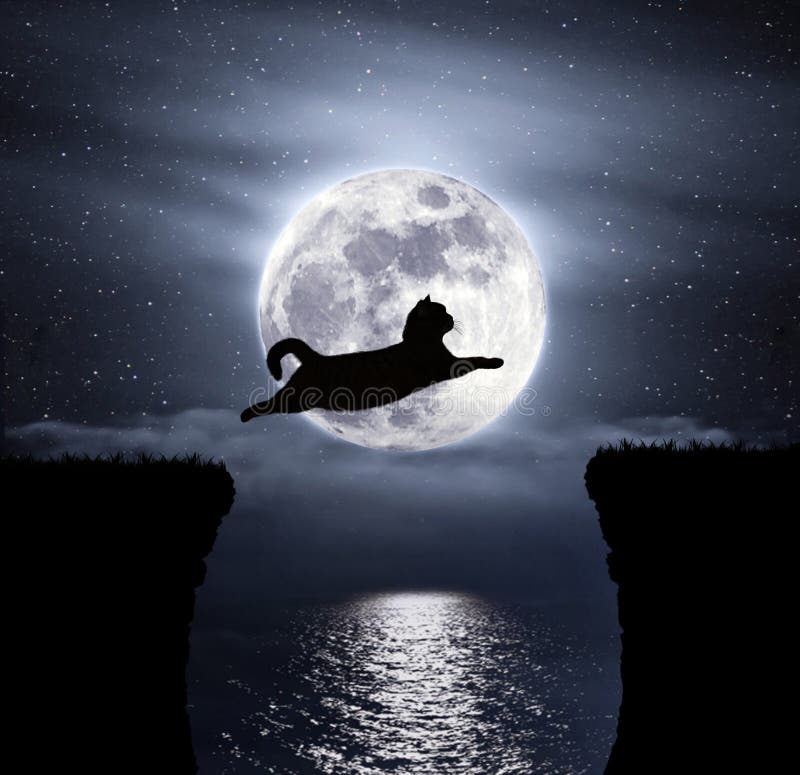 Moon and cat 2 stock image. Image of danger, cloud, water - 124801477