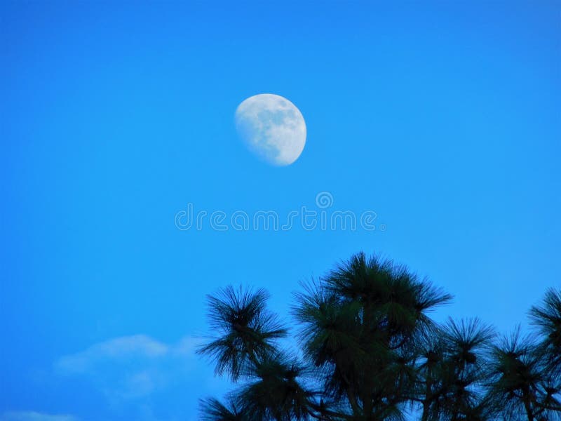 Moon on a Clear Morning stock image. Image of moonlight - 208746417