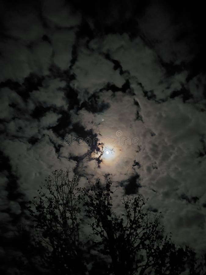 Moon clouds oh my stock photo. Image of night, clouds - 224031468