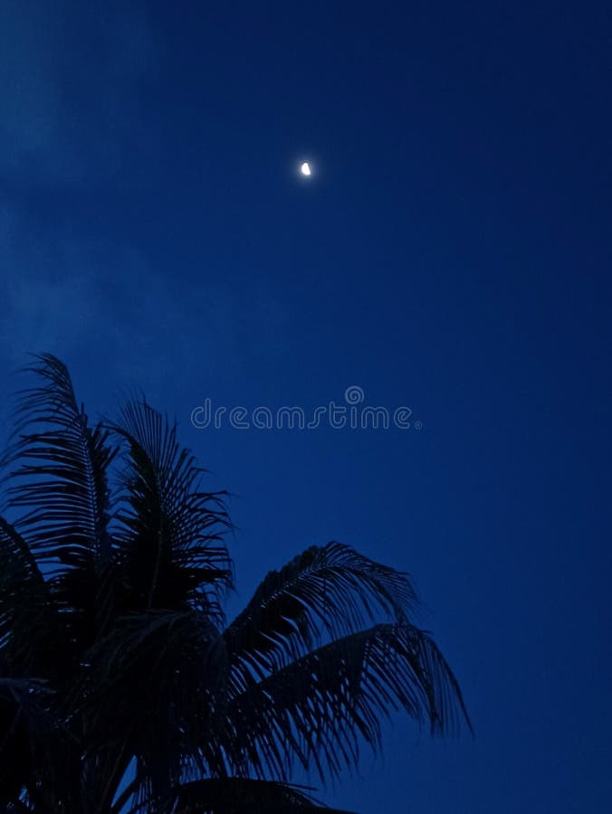Moon at dawn stock photo. Image of beautiful, cool, moonlight - 269266930