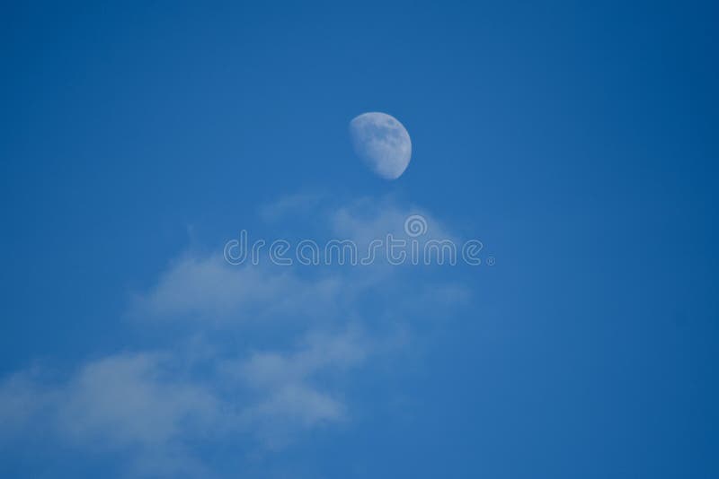 The moon in daylight sky stock image. Image of blossoms - 154296179