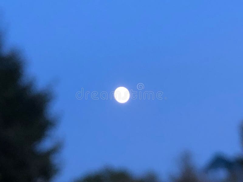 Moon in the Evening Blue Sky Stock Photo - Image of blue, night: 256922438
