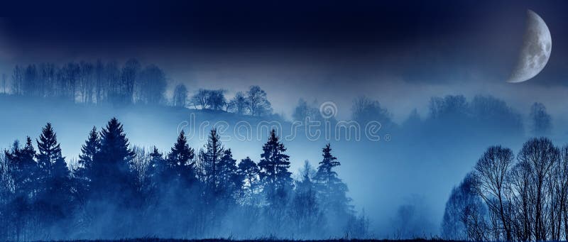 Moon fog and a forest stock image. Image of outdoor, autumn - 93932717