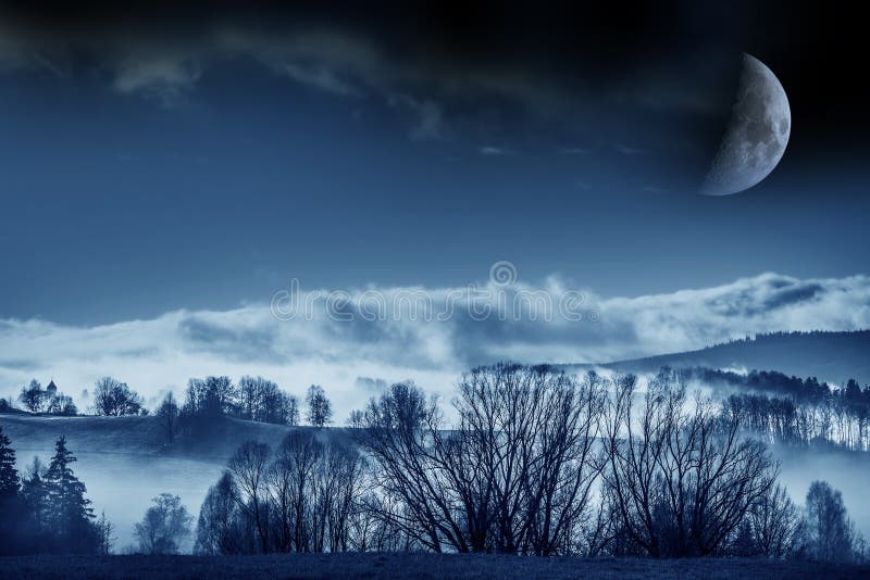 Moon fog and a forest stock image. Image of moon, autumn - 93932859