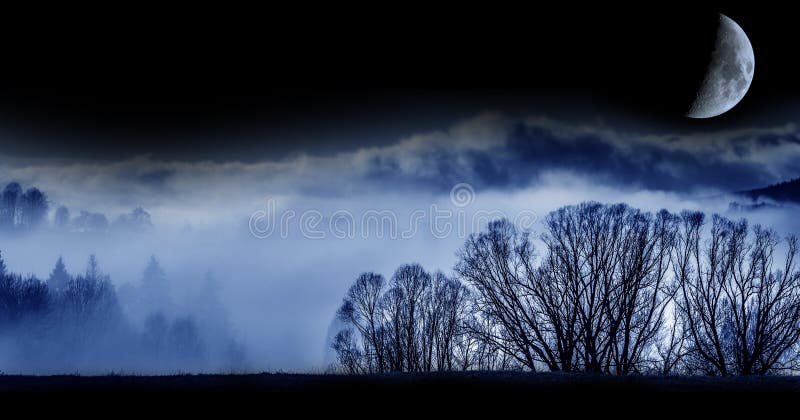 Moon fog and a forest stock image. Image of landscape - 93932895