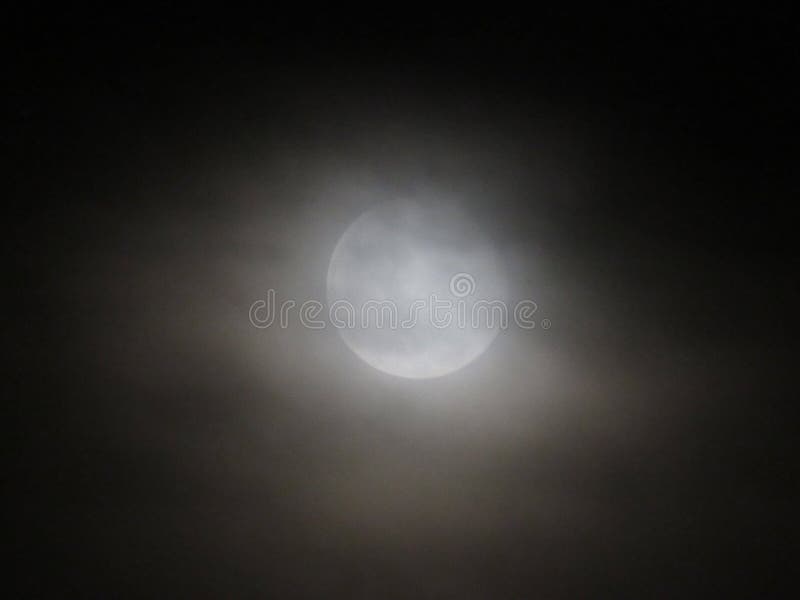 Moon stock image. Image of florida, moon, full, night - 74213709
