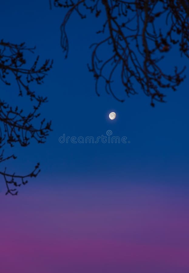Moon Glowing in a Sunrise Sky Stock Photo - Image of moonlight, glowing ...