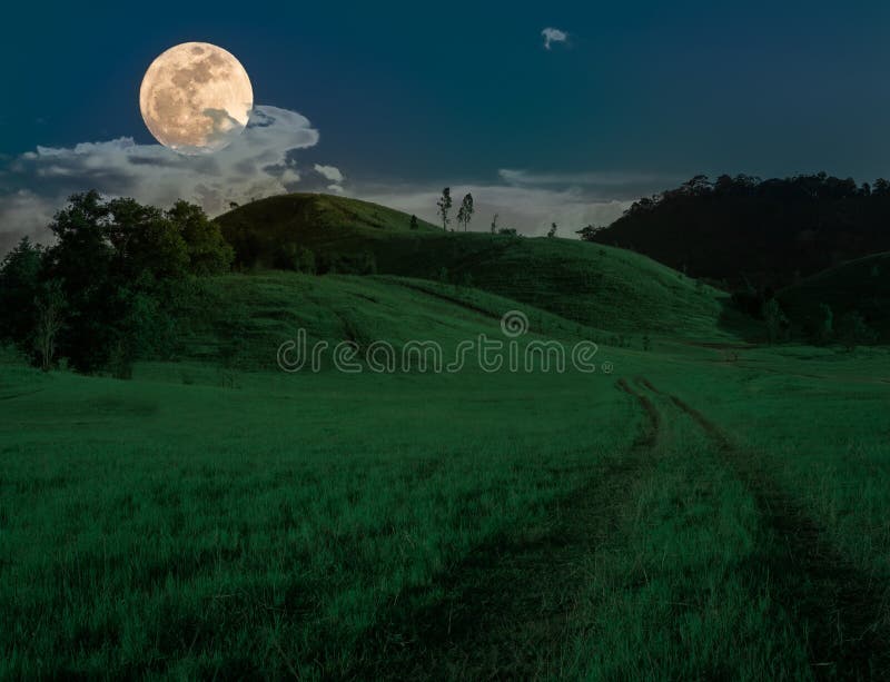 19,152 Grass Moon Stock Photos - Free & Royalty-Free Stock Photos from ...