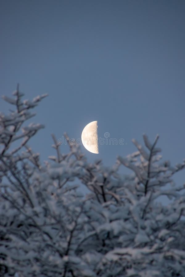 Moon Half Moon Winter Snow at Nightfall Stock Image - Image of ...