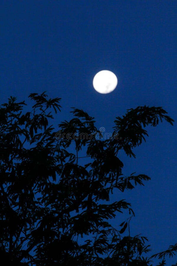 Moon II stock image. Image of black, landscape, satellite - 80908855