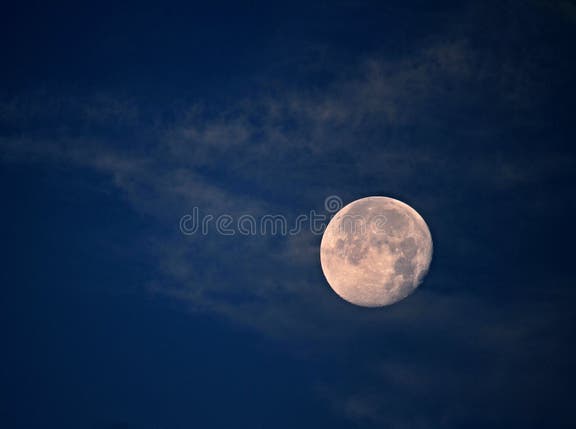 Halloween Backgrounds Super Scary Stock Photos - Free & Royalty-Free ...