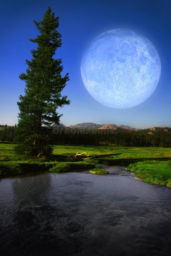 16,702 Magic Moon Stock Photos - Free & Royalty-Free Stock Photos from ...