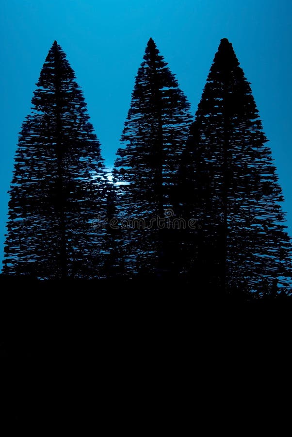 Moon Light Pine Trees stock image. Image of christmas - 6856835