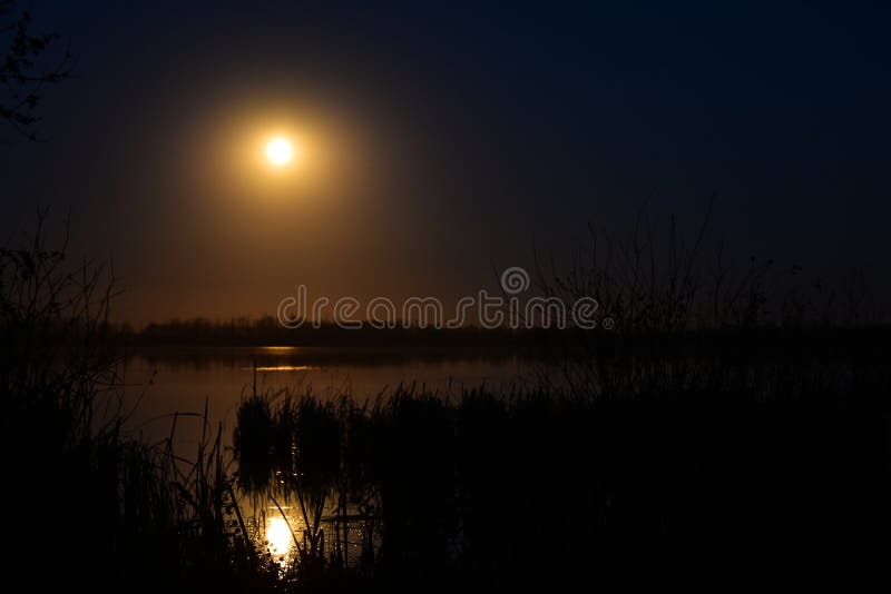 Moon Light Reflection stock photo. Image of calm, golden - 135437474