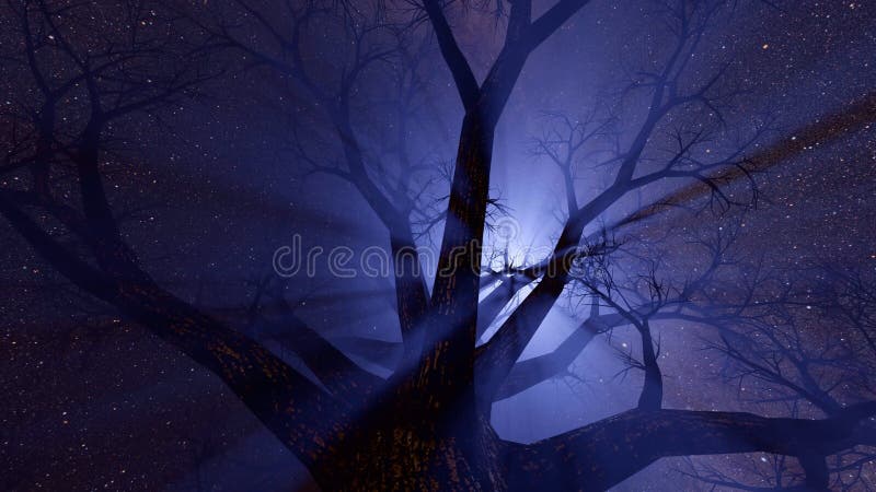 Moon Light and Snow through the Trees Stock Image Stock Illustration ...