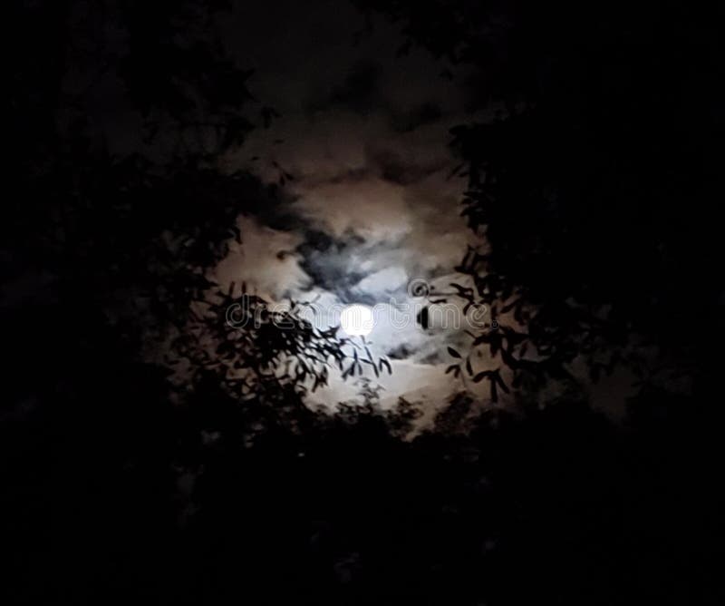 Moon lit stock image. Image of moon, moonlight, clouds - 139594775