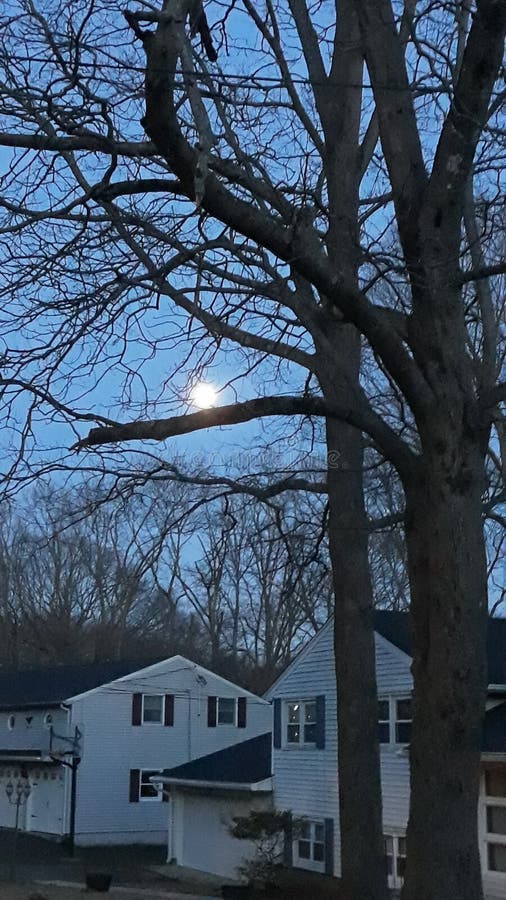 Moon lit sky stock image. Image of moon, trees, landscape - 174991139