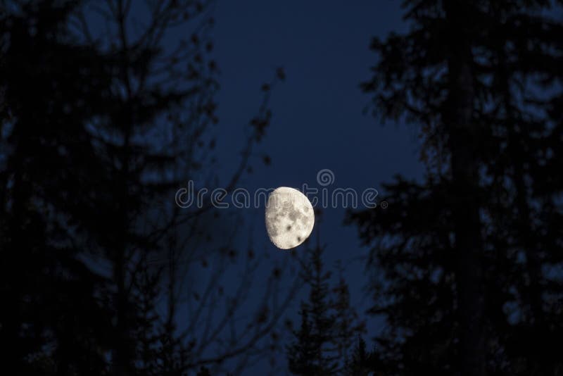Moon in the Middle of Night Sky Stock Image - Image of glow, midnight ...