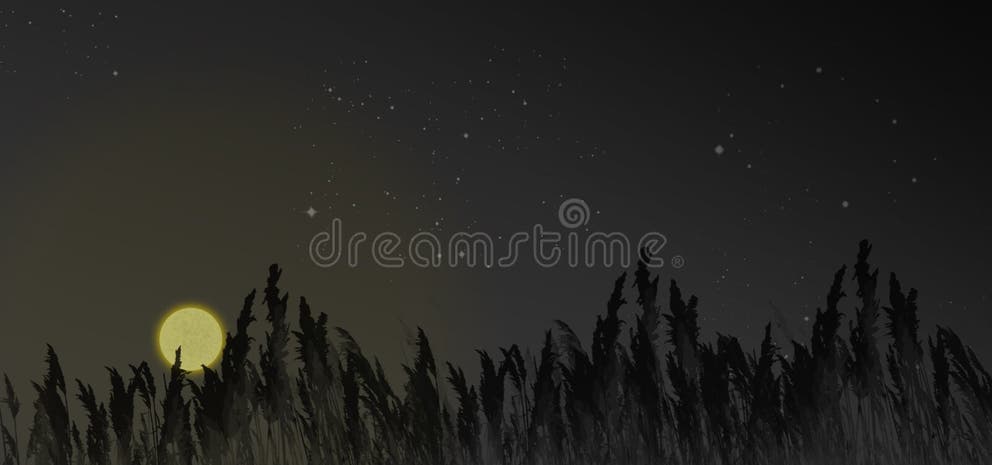 Moon at Midnight stock illustration. Illustration of moon - 289122115