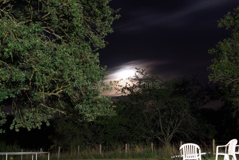Moon stock image. Image of trees, moon, night, countryside - 127063001
