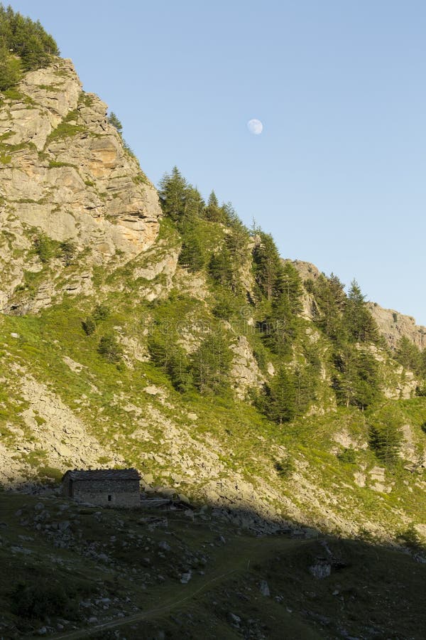 Moon Mountain stock image. Image of animal, cute, national - 87554505