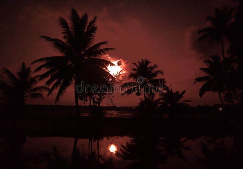 The Moon Shadow Reflection with Plant and Night Clouds Stock Image ...