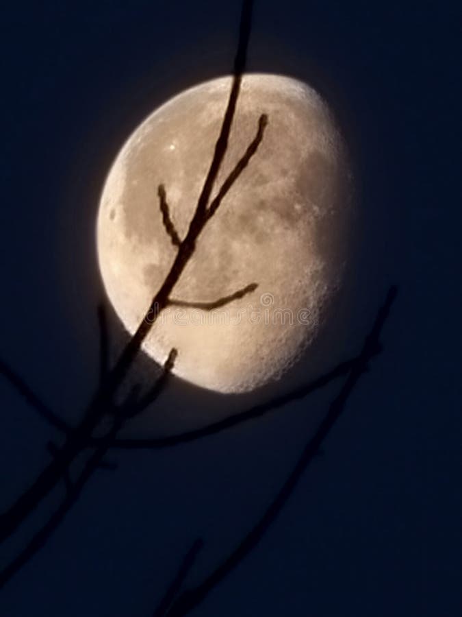 Moon on a Night stock image. Image of head, reflection - 271810439