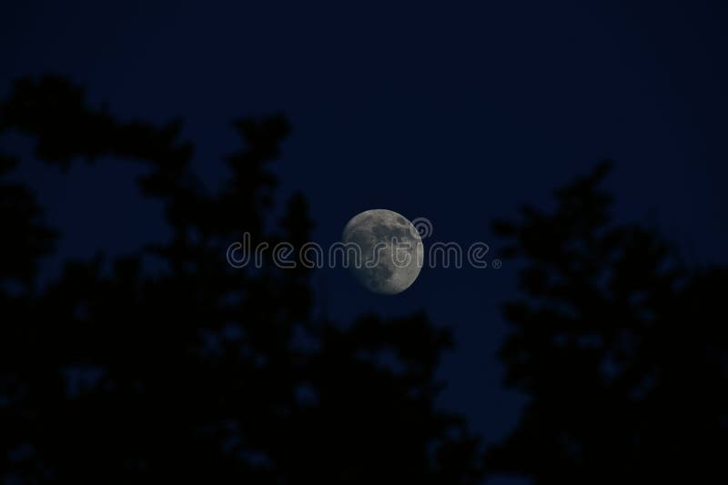 The moon at night stock image. Image of natural, astronomy - 327624379