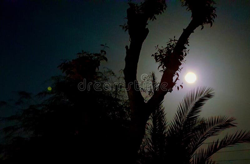 Moon night view stock photo. Image of view, night, beautiful - 111259926