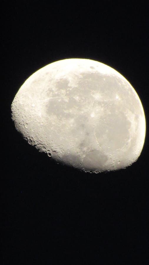 White moon in night stock image. Image of white, quail - 198431991