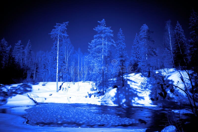 Moon Night in Winter Forest Stock Photo - Image of roll, rolling: 11392868