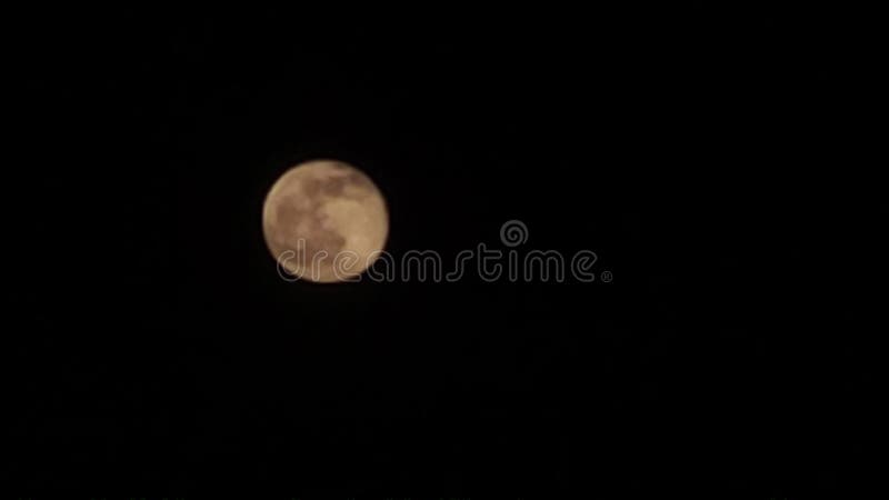 Moon stock image. Image of handy, clear, perfect, moon - 177109193
