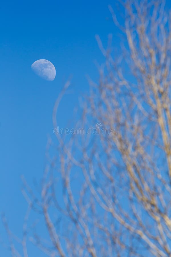 Noon Moon stock photo. Image of nature, space, moon - 147802180