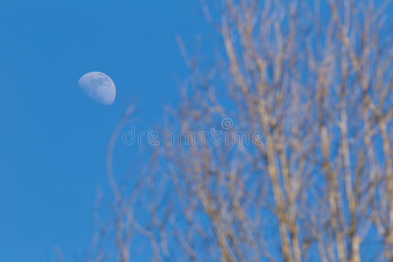 Noon Moon stock photo. Image of nature, space, moon - 147802180