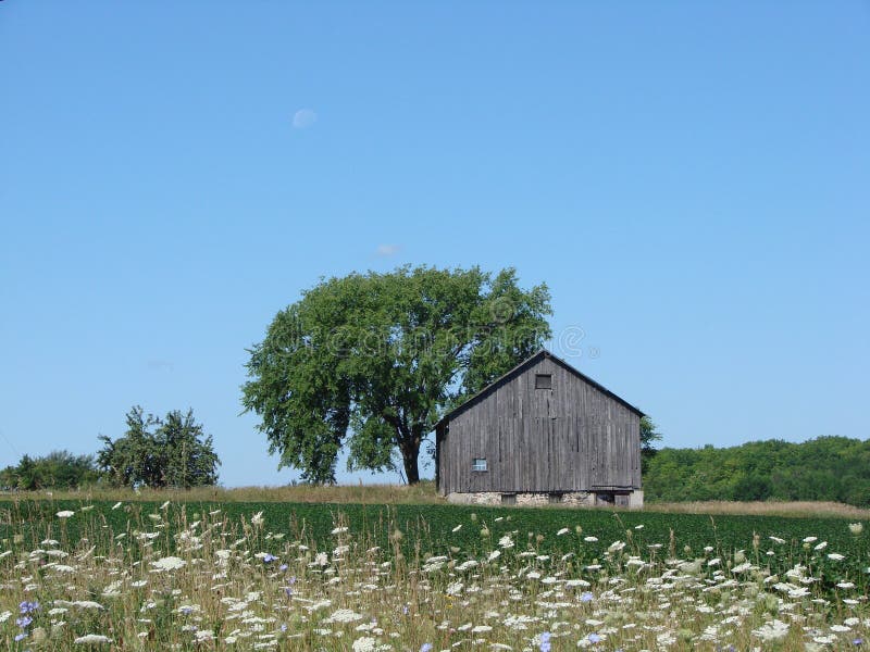 Moon over Farm in daytime stock photo. Image of copyspace - 11802592