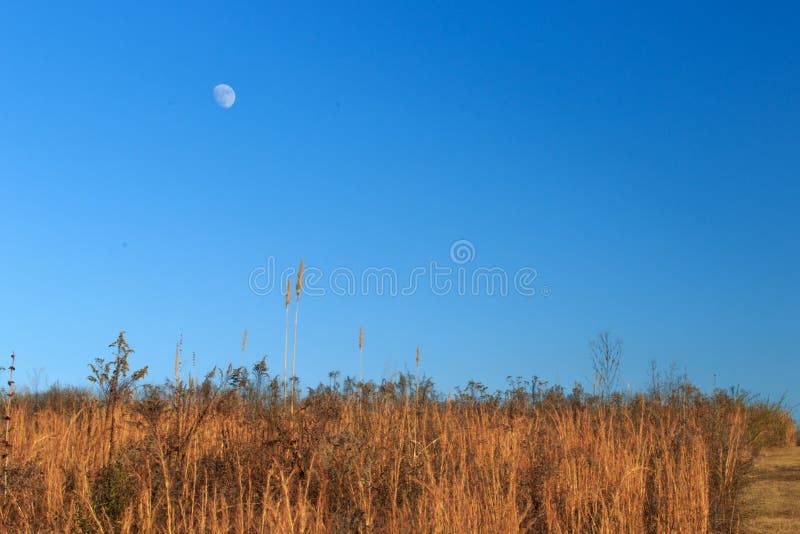 Moon over field stock image. Image of retreat, bend, moon - 82259637