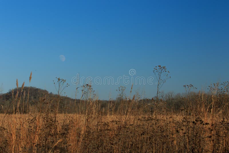 Moon over field stock photo. Image of grass, moon, nature - 82259672