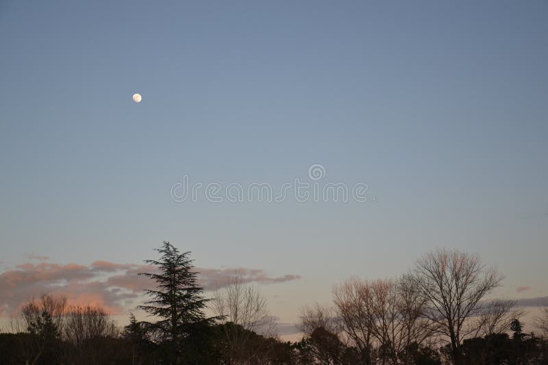 Moon over forest at dusk stock image. Image of dark, silhouettes - 38134325