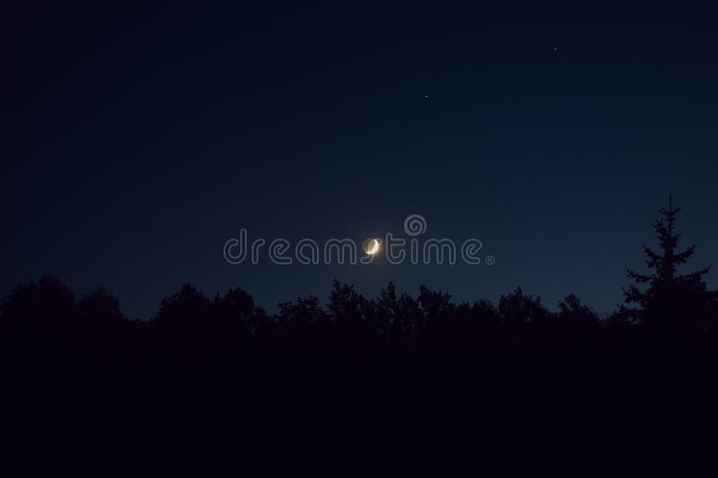 Moon over the forest stock photo. Image of calmness - 184655074