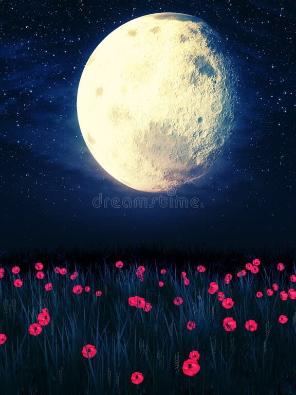 Moon over Grass Field stock illustration. Illustration of field - 60802799