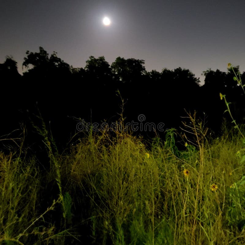 Moon over rural field stock image. Image of quiet, rural - 169019459