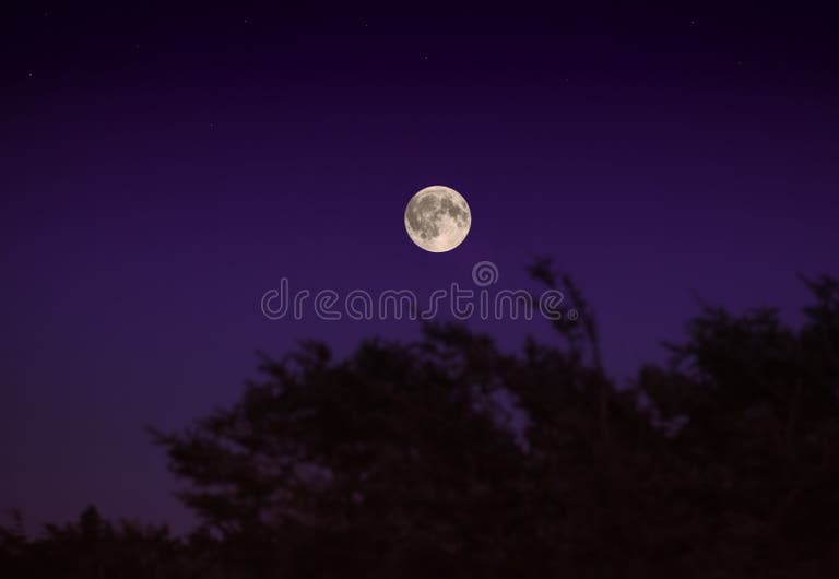 Moon over trees stock image. Image of wallpaper, moonlight - 84934623