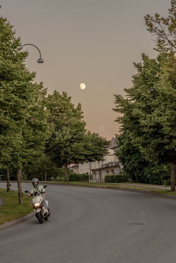 The Moon Over Trees by a Street in the Evening Stock Image - Image of ...