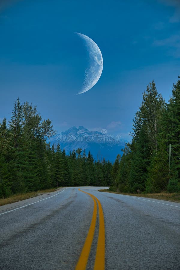 Moon Over the Winding Road between the Forest at Night Stock Image ...