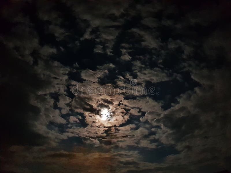 5,054 Peeps Stock Photos - Free & Royalty-Free Stock Photos from Dreamstime