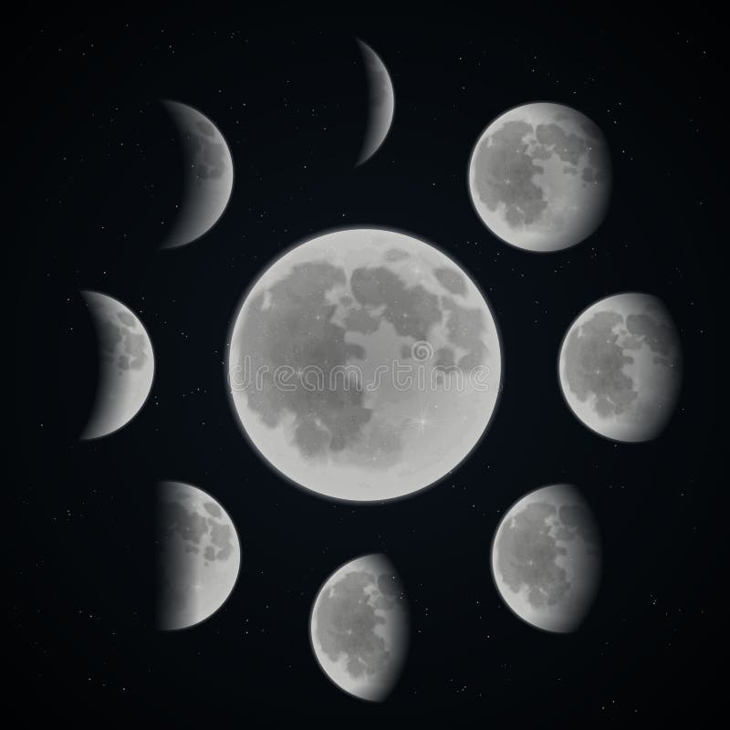 Beautiful Shapes of Moon Phase Set Stock Illustration - Illustration of ...