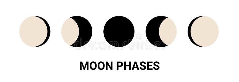 Moon Phase Vector Crescent Half Cycle Shape Illustration. Moon Phase ...