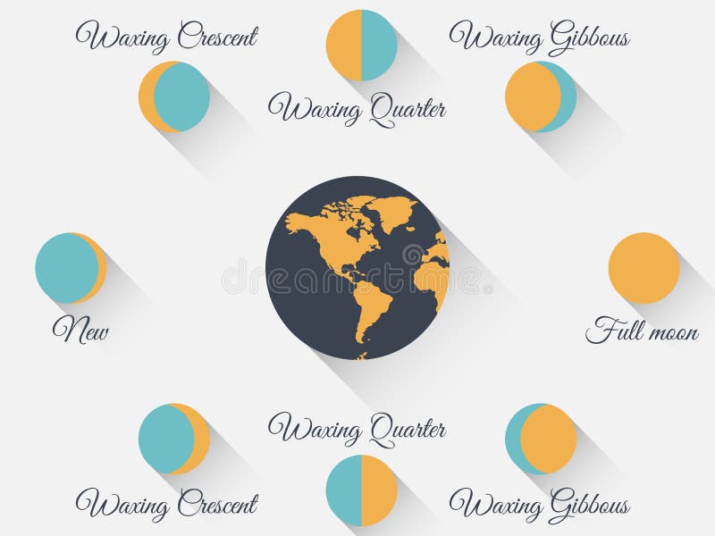 Moon Phases in Flat Style. Moon with a Long Shadow. the Whole Cycle ...