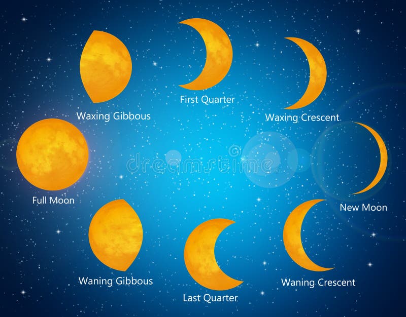 Astronomy Lesson: Moon Phases Vector Stock Vector - Illustration of ...
