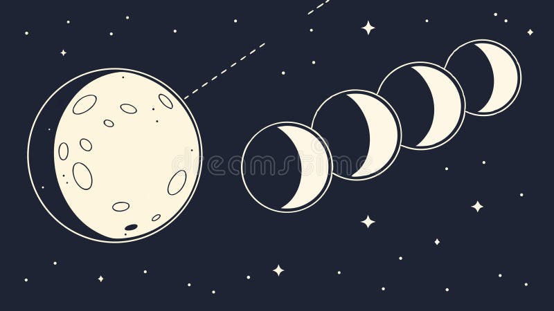 Moon Phases Sequence, Lunar Cycle and Astronomy Vector Design ...